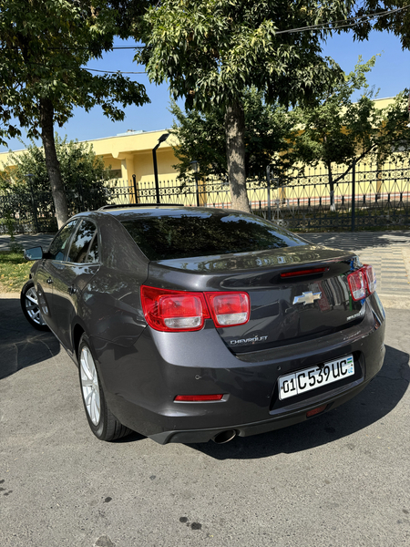 Malibu 1 pozita 3