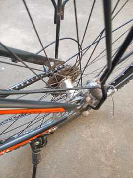 Veloseped 29-razmerli (alteza)