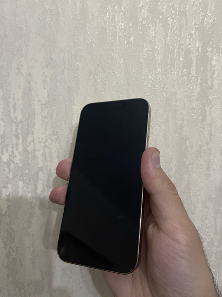 iPhone 12 Pro 128gb 76%