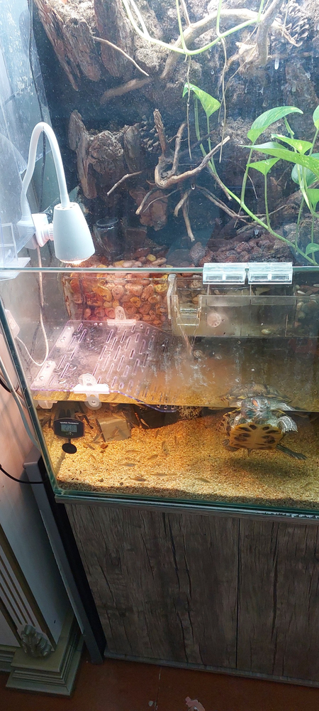 Akvarium paludarium