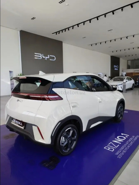 Byd seagul Oq arenda s vikupom