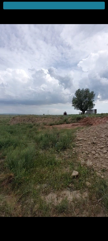 Боғдорчилик Хамкорлик