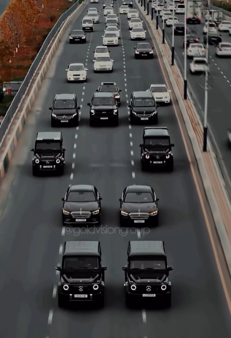 Sarpo tashish raddom mercedes vito