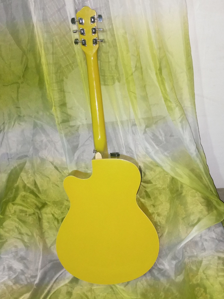 Akustik gitara4050