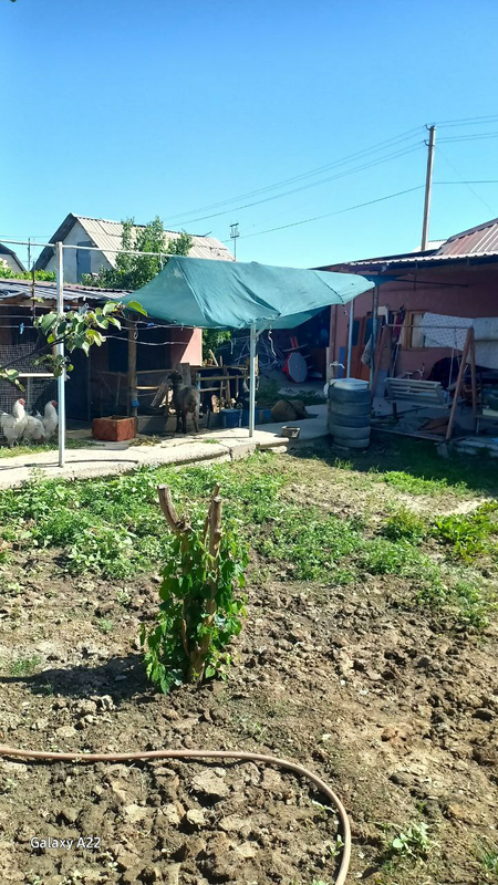 Продаю дачу с пропиской, заходи живи!
