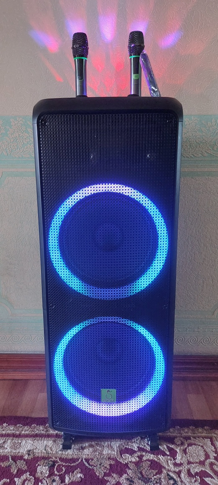 Калонка караоке SOK 808