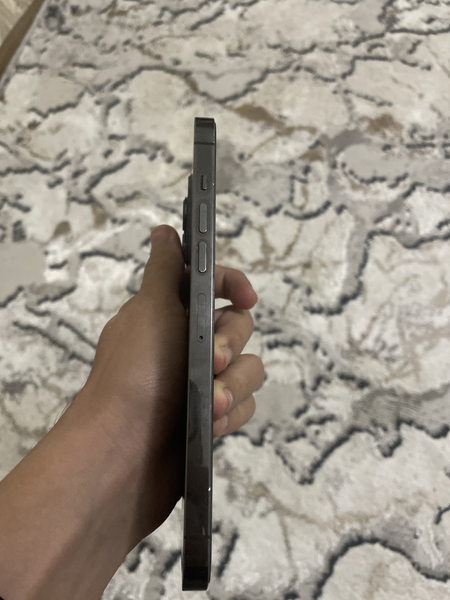 Iphone 13 pro max ideal