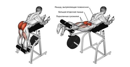 Impulse IFP1619
Обратная гиперэкстензия