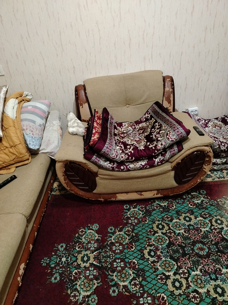 Холаденик телевизор