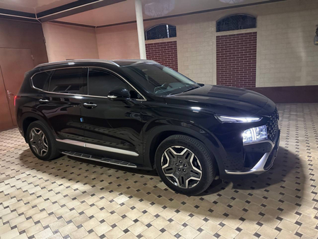 Hyundai Santafe 2021 full