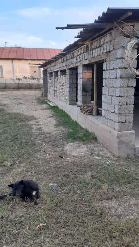 Uchastka 8 sotix Baytqo'rg'on