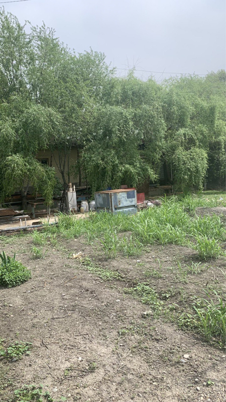 Земля 82 соток Янги Узбекистон