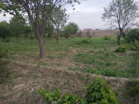 Yer sotiladi Arzon narxda