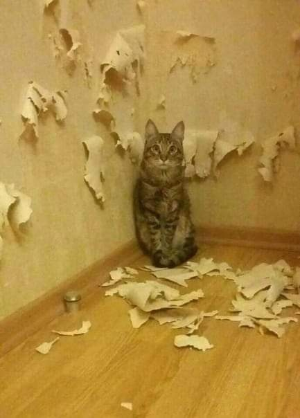 Ремонт квартир домов