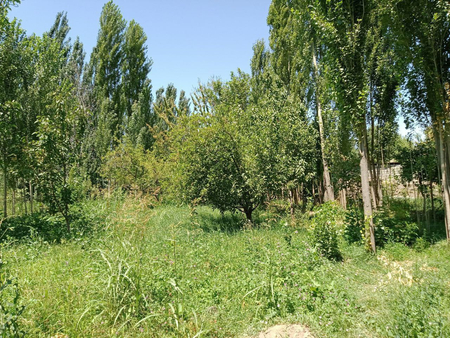 Срочно Уй сотилади