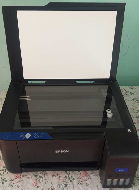 Epson 3101 rangli printer