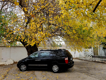Kia Carnival 2007 yil