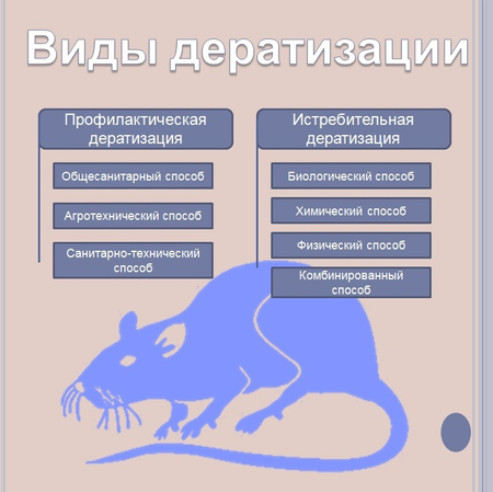 Дезинфекция, дезинсекция, дератизация,дезадарация