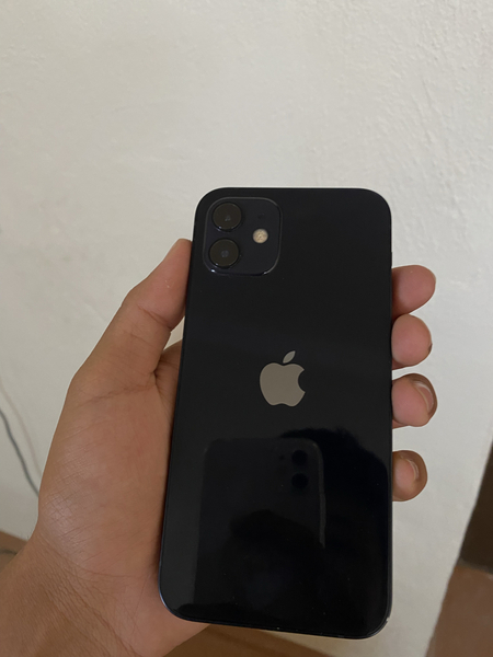 iPhone 12 256 tali