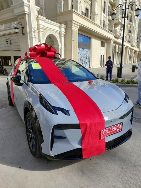 Bantik lentaпадарични бант,мошинага бантик