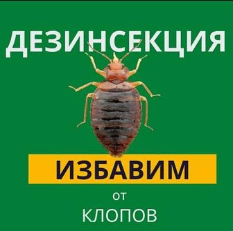 Дезинфекция от клопов