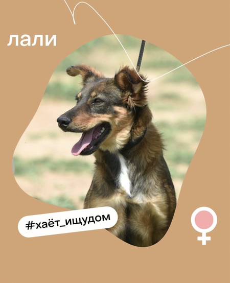 Девочка Лали ждёт своего человека!