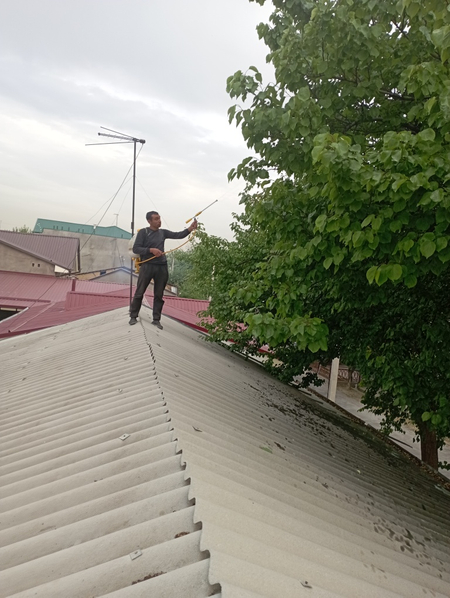 Uzum kochat  xomtok qilish