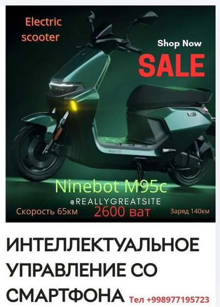 Ninebot M95c по Акции!