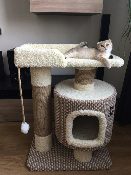 Домик для кошки. Когтеточка для кошек. На заказ