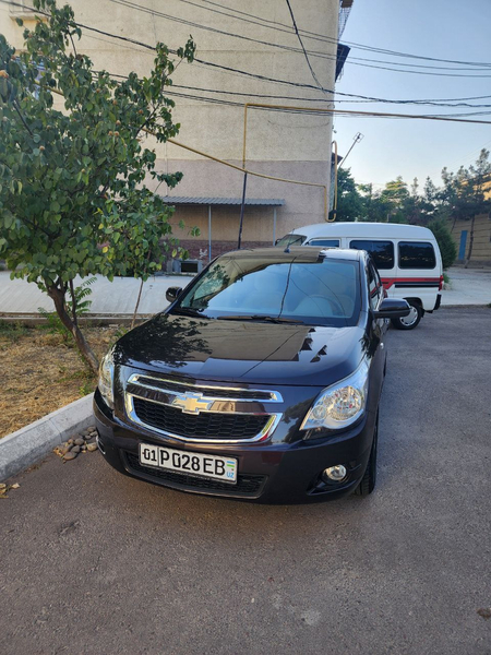 Cobalt AT 2019 год