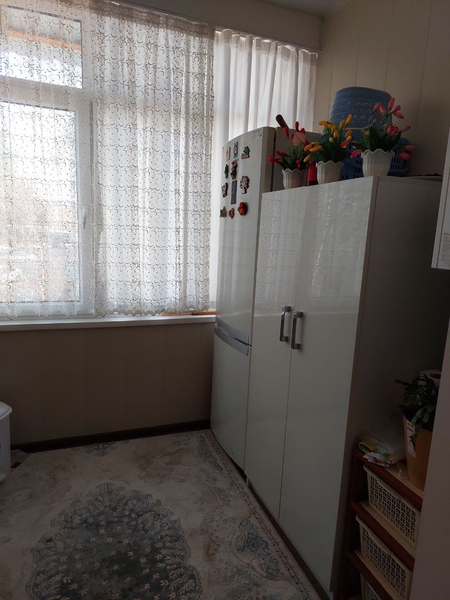 Чирчик Троицк квартира