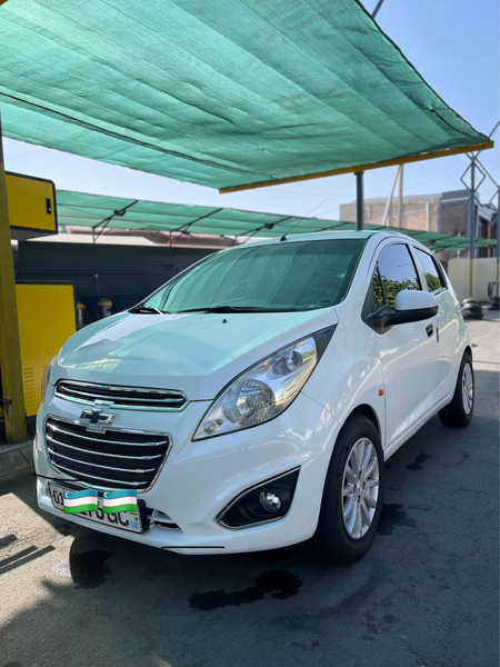 Cobalt Arginal GM Diskani ozi Baloni Green Max Ling Long