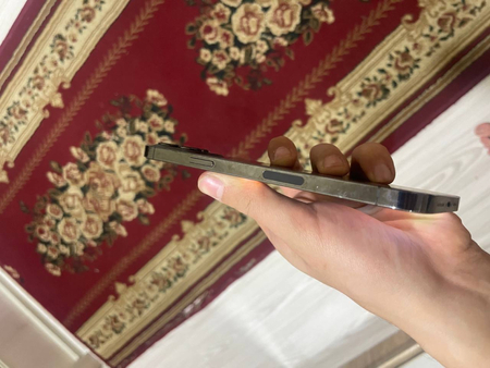 iPhone 12 pro max