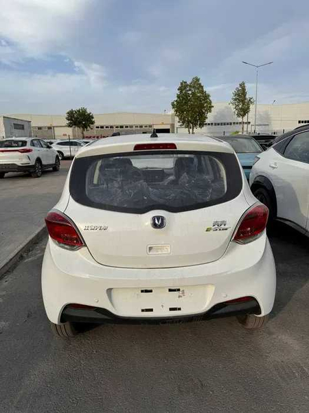 Changan Ben Ben E-Star  301 km