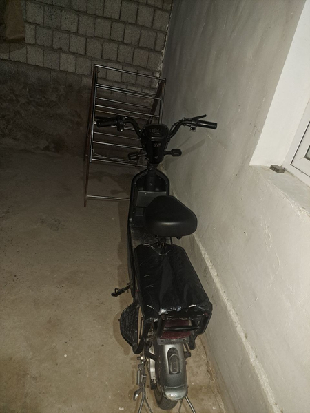 Bonvi sukutur 2024 yil