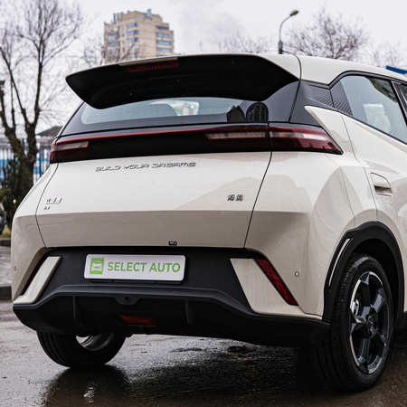 byd seagull full
