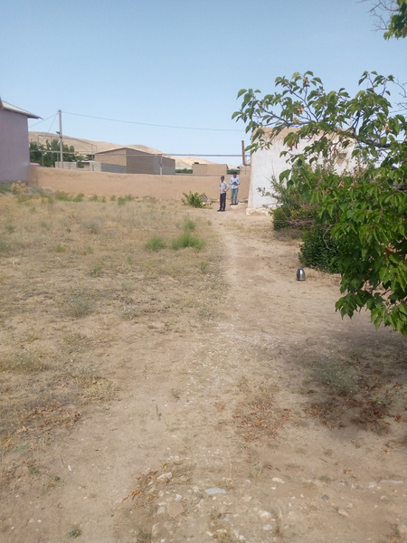 Kafolat beraman.