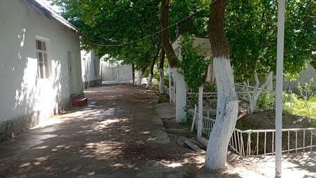 Tayyor xovli sotiladi