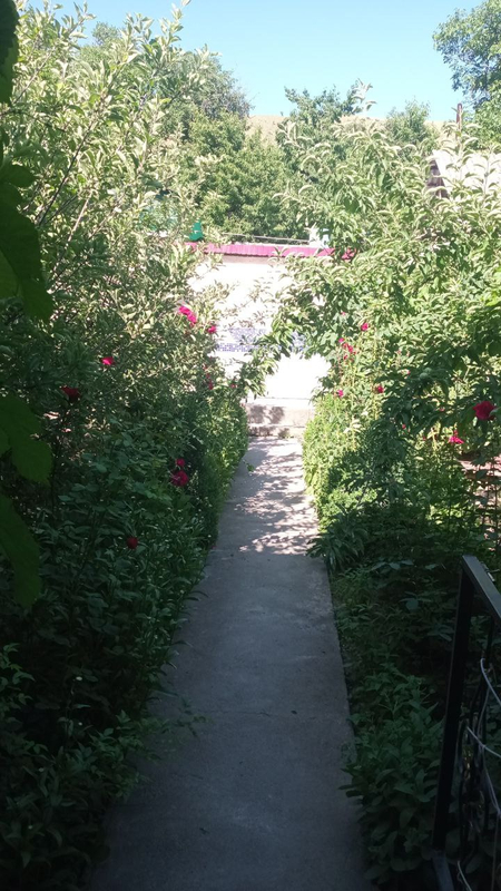 Arzon dacha oila va ulfatlar uchun faqat
