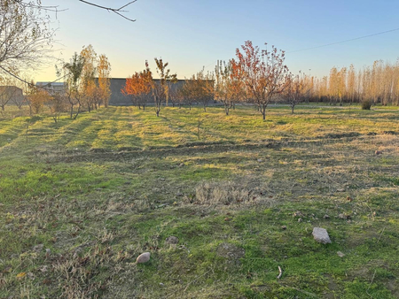 Dacha sotiladi .