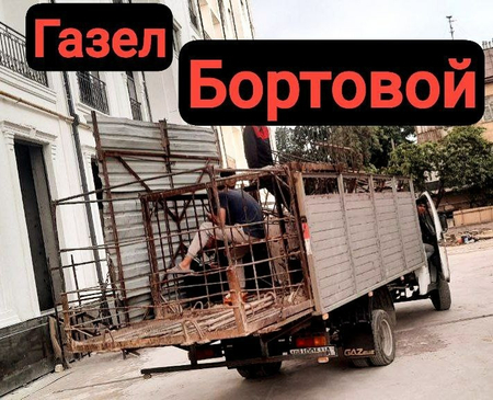 Hazel yuk tashish.  Perevozka gazel