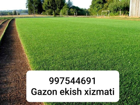Gazon ekish xizmati