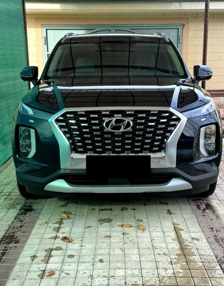 Hyundai Palisade 2022