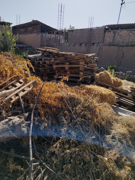 Tosin terak Nazarbe tarnov baqvat 5 metirdan owiq xammasi