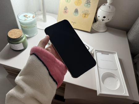 iPhone 14 Pro Max 256 GB