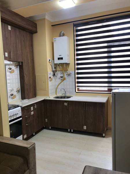 1/3/8 Паркенский, Аренда