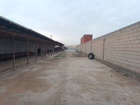 Ijaraga beriladi.