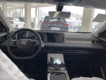 Neta Yu 401 km elektr