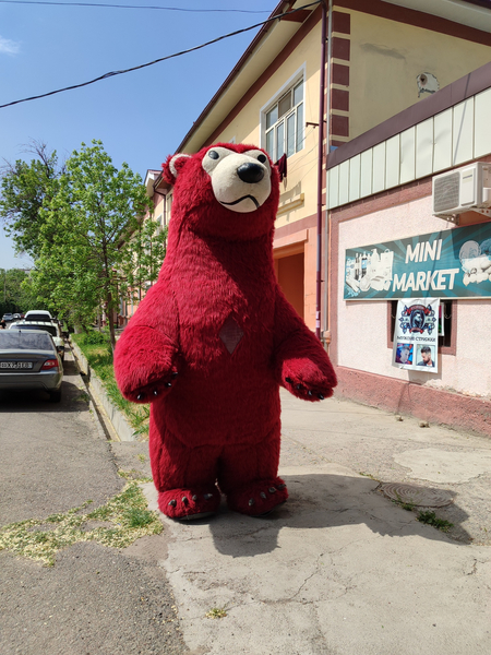 Teddy ayiqchalar va afarmleniya xizmati .