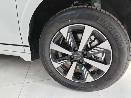 BYD E2 restling 401 km 2023 ок
